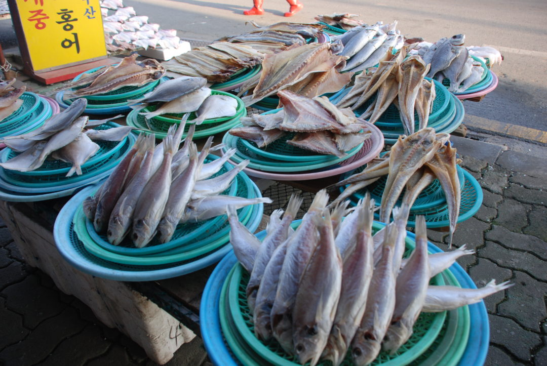 Photos of Mokpo Fish Market
