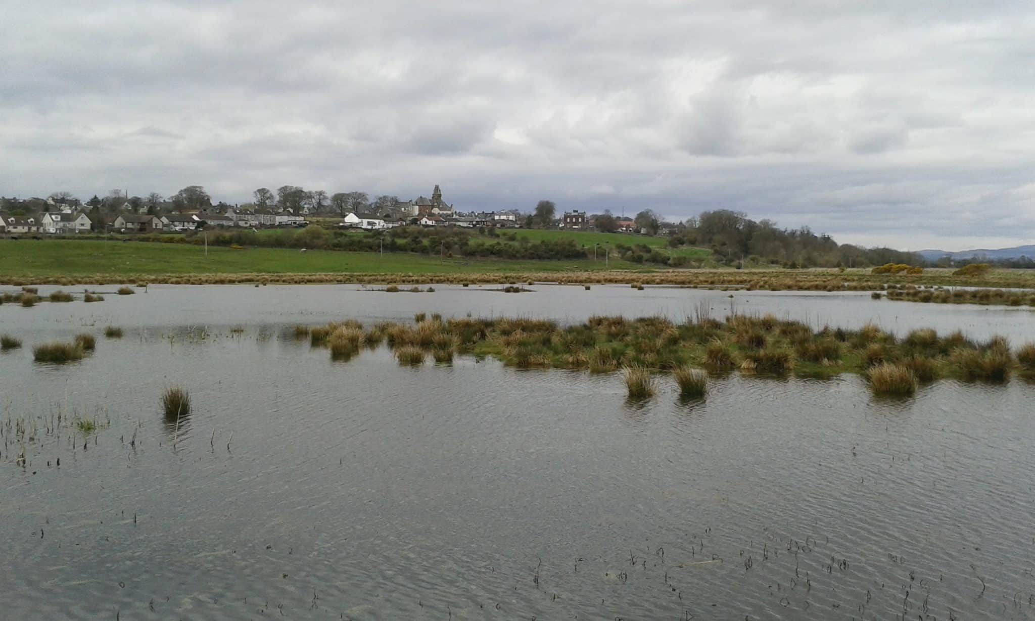 Not Just an Open Book - My Week in Scotland's National Book Town ...