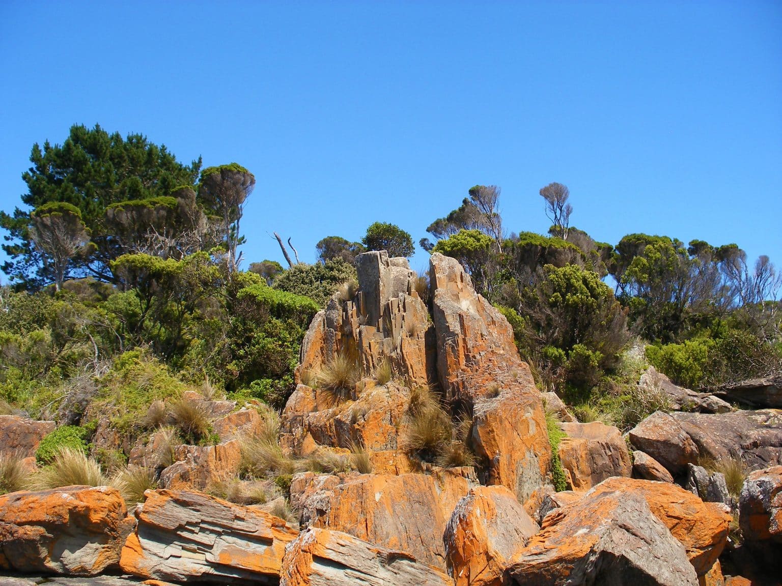 Explore Devonport: Gateway to Tasmania - GoMad Nomad Travel Mag