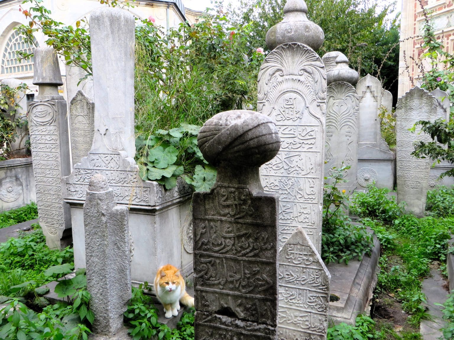 18 Incredible Things to do in Istanbul - GoMad Nomad Travel Mag